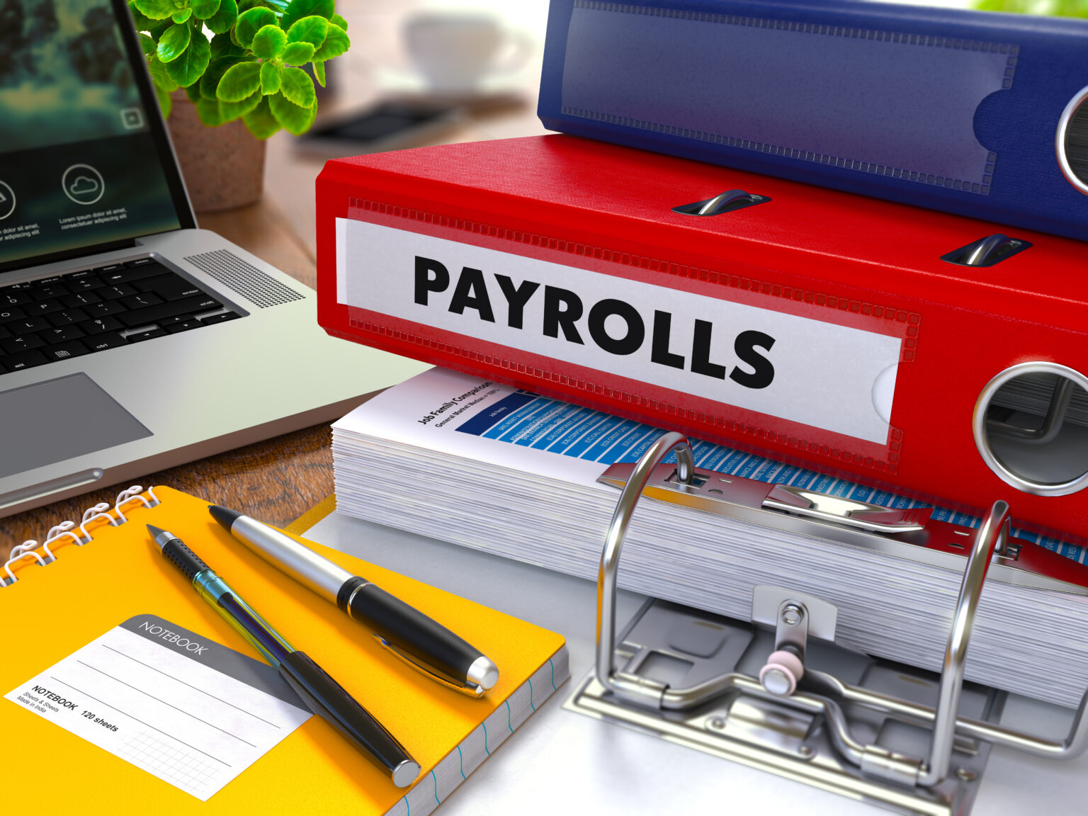 CPA Service, Accounting Services, Payroll & Bookkeeping – Carmela Davis CPA